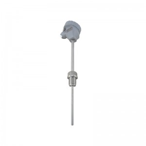 WZ series Assembly RTD Temperature Sensor